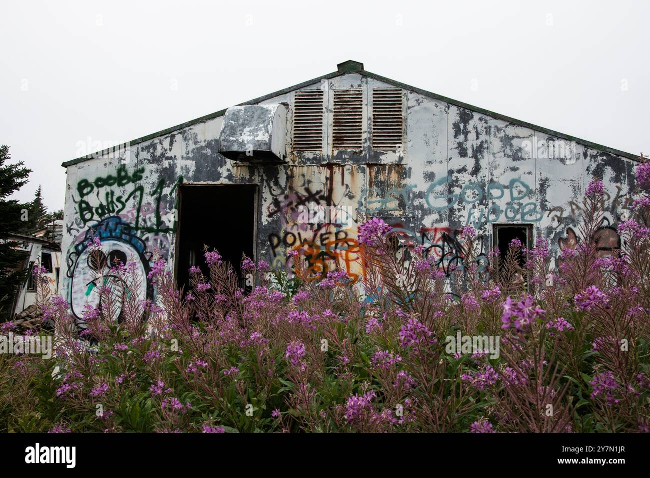 Graffiti tagged on buildings at abandoned dilapidated Central Swine ...