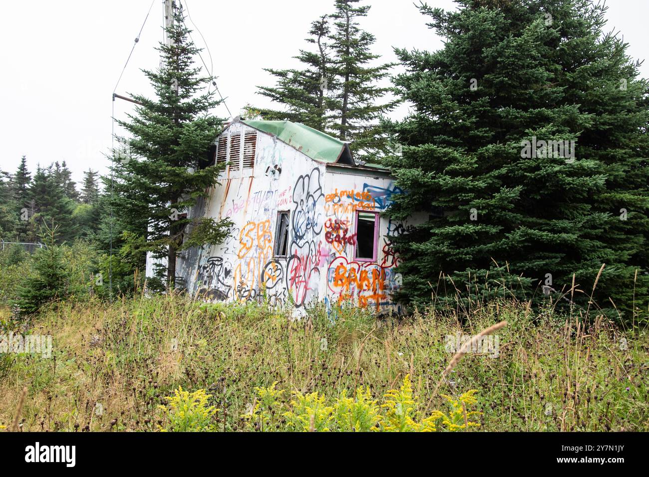 Graffiti tagged on buildings at abandoned dilapidated Central Swine ...
