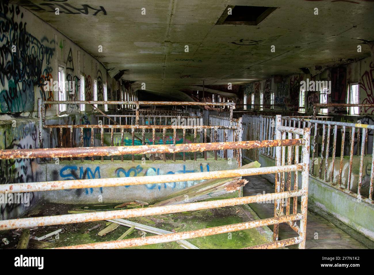 Pig pens inside abandoned dilapidated Central Swine Breeding Station in ...