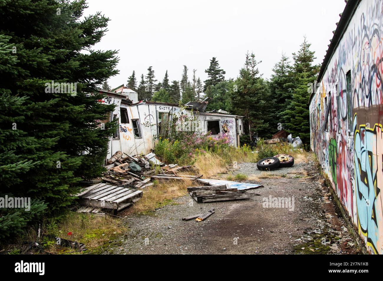 Graffiti tagged on buildings at abandoned dilapidated Central Swine ...
