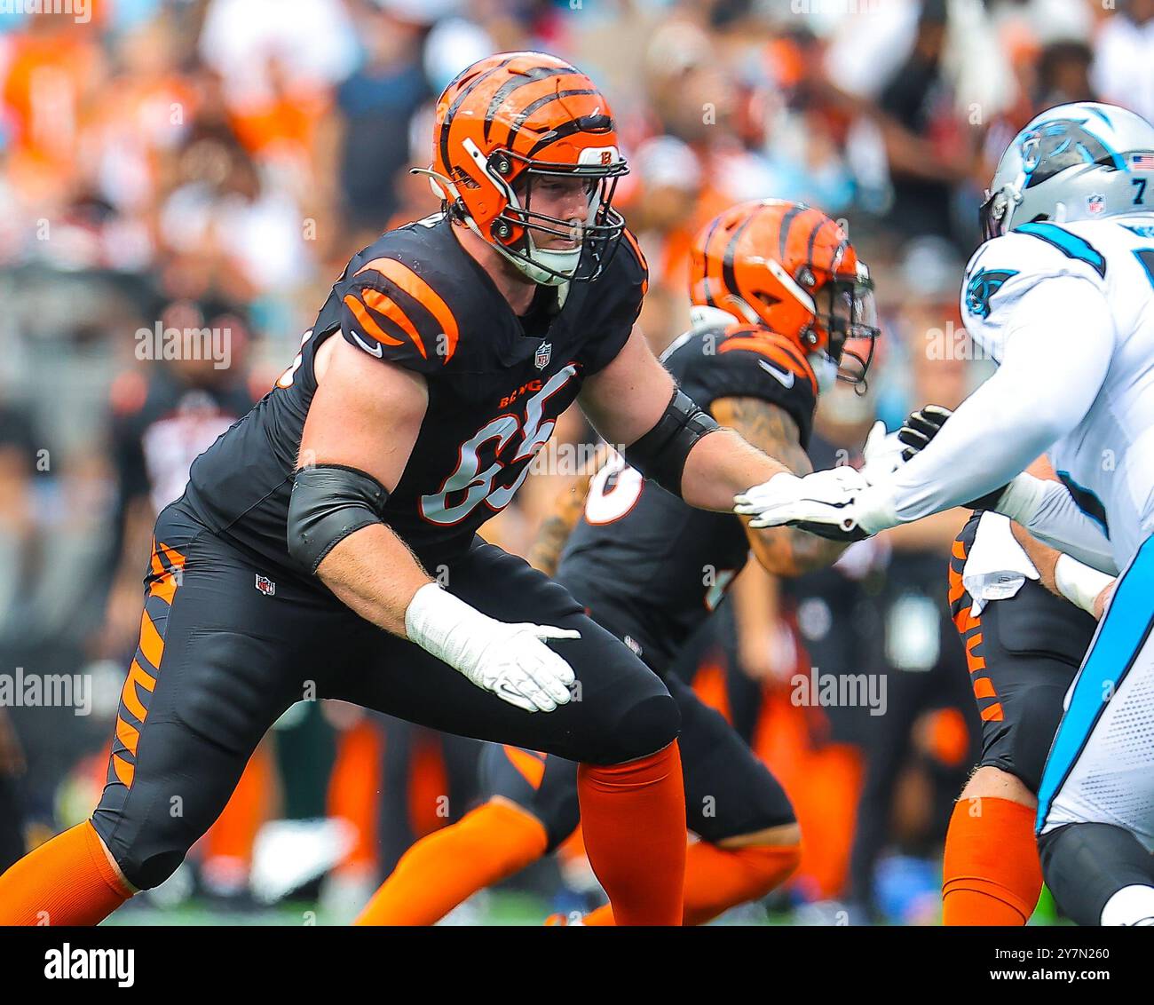 David cappa hi-res stock photography and images - Alamy