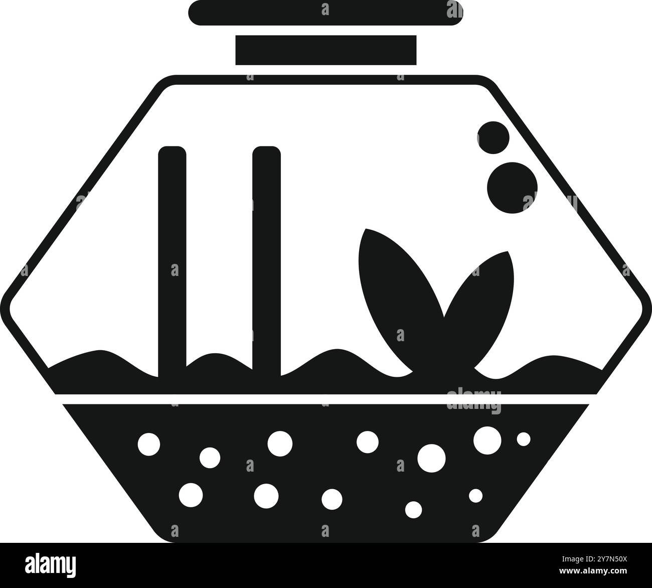Closed terrarium with a small plant growing inside a hexagon shaped ...