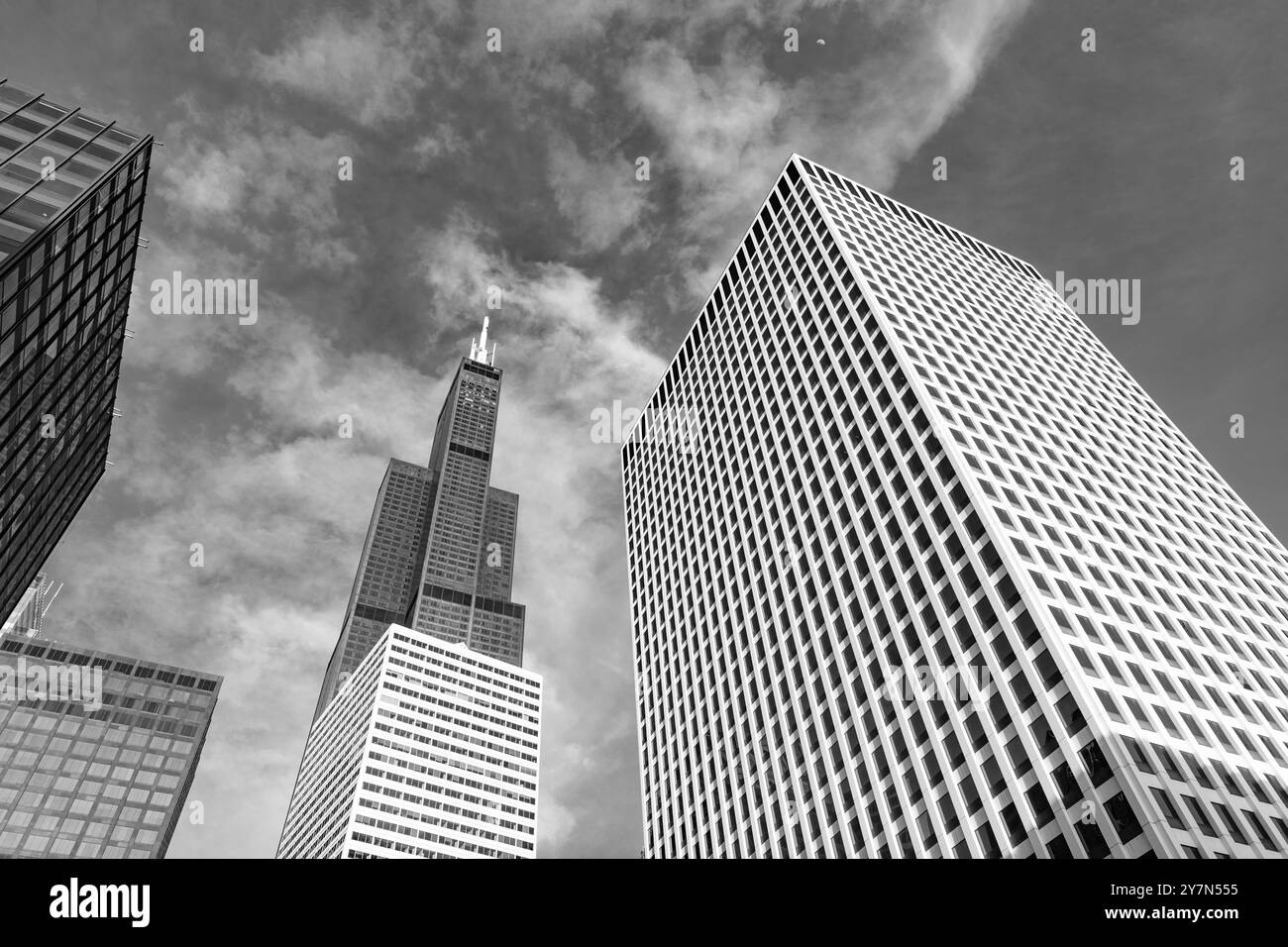 city downtown with skyscraper in perspective. perspective view ...