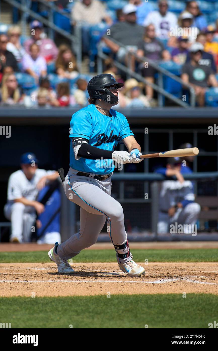 Beloit Snappers Brock Vradenburg (22) at bat during an MiLB Midwest ...