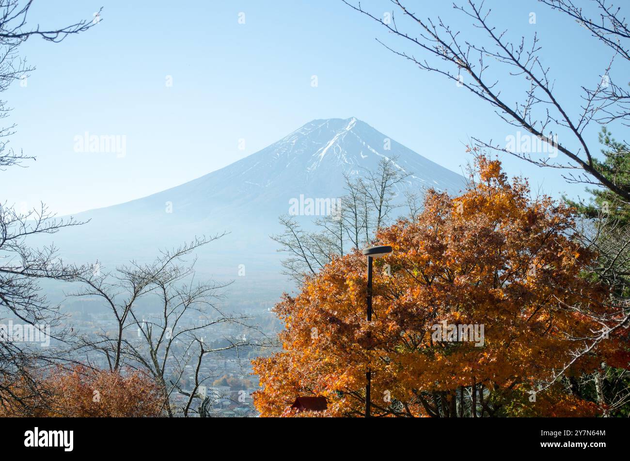 Mount Fuji in the blue sky day with red color autumn leaves. Japan and ...
