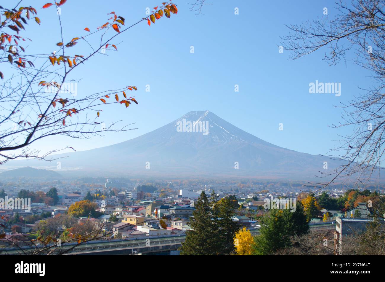 Mount Fuji in the blue sky day with red color autumn leaves. Japan and ...