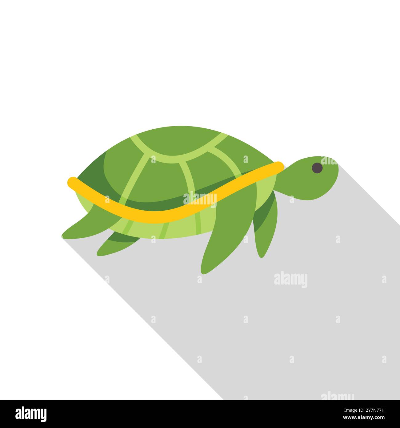 Green turtle walking slowly with long shadow on white background, flat ...