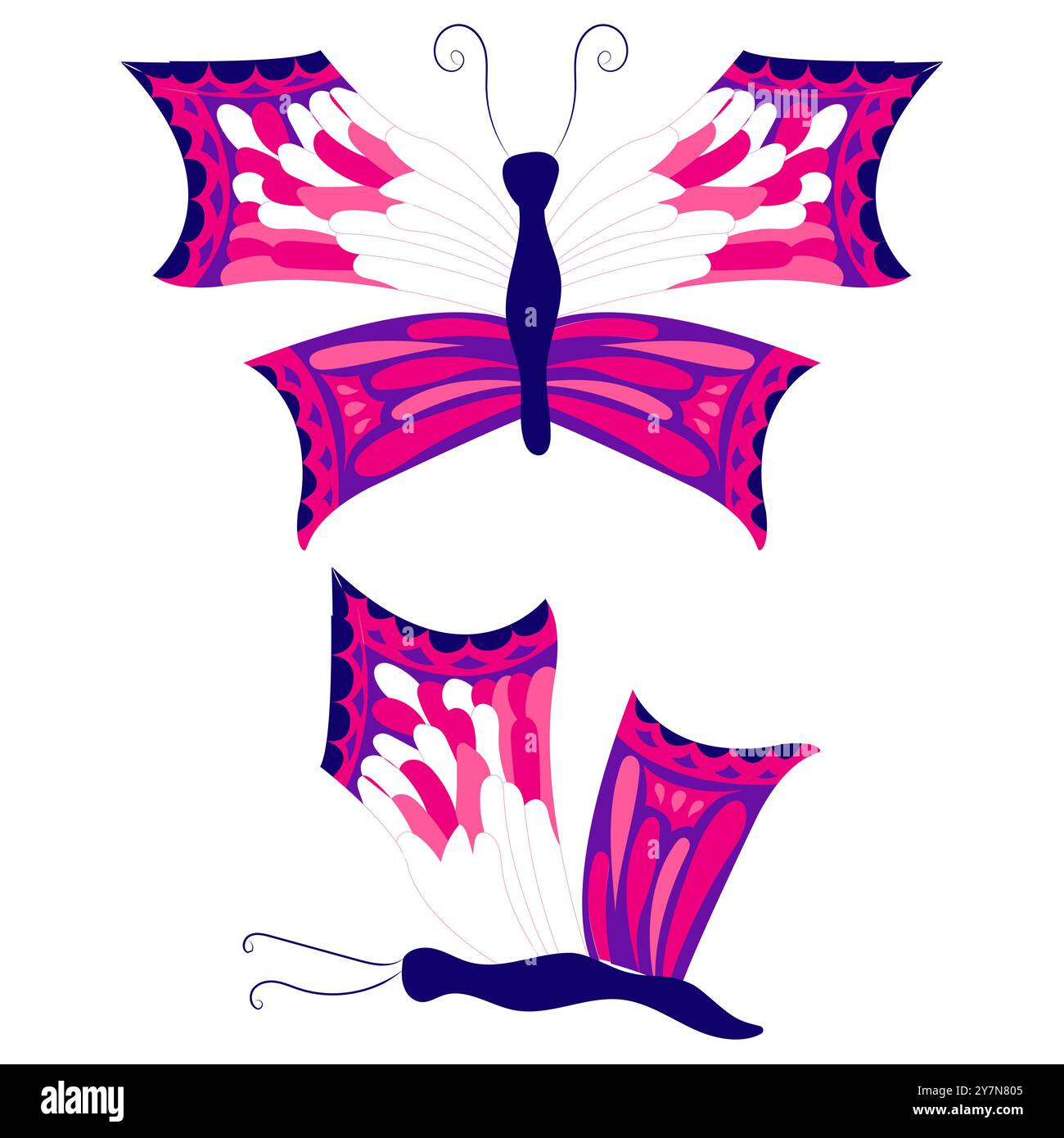 Butterfly with open wings and closed wings. Vector illustration ...