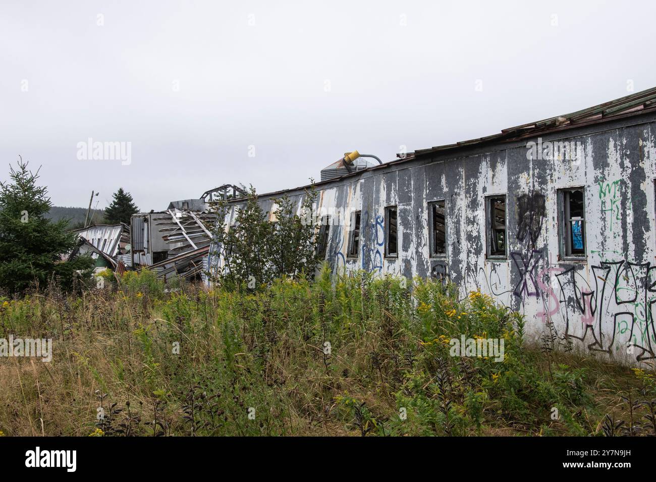 Graffiti tagged on buildings at abandoned dilapidated Central Swine ...