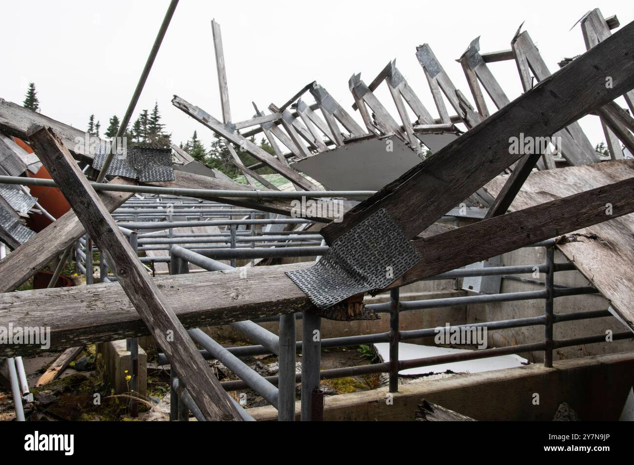 Collapsed buildings at the abandoned dilapidated Central Swine Breeding ...