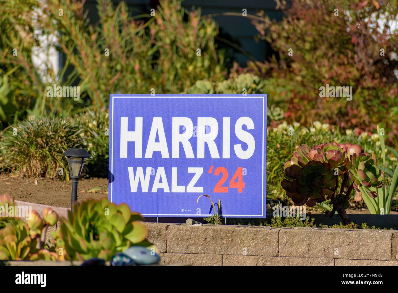 Harris Walz 2024 yard lawn sign, Political yard sign in a landscaped ...