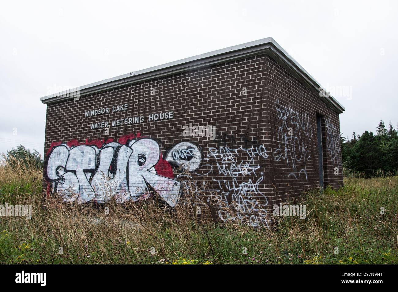 Stur graffiti tagged on Windsor Lake Water Metering House in St. John's ...