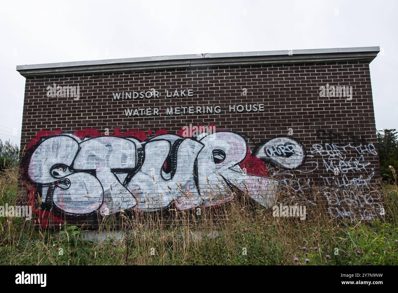 Stur graffiti tagged on Windsor Lake Water Metering House in St. John's ...