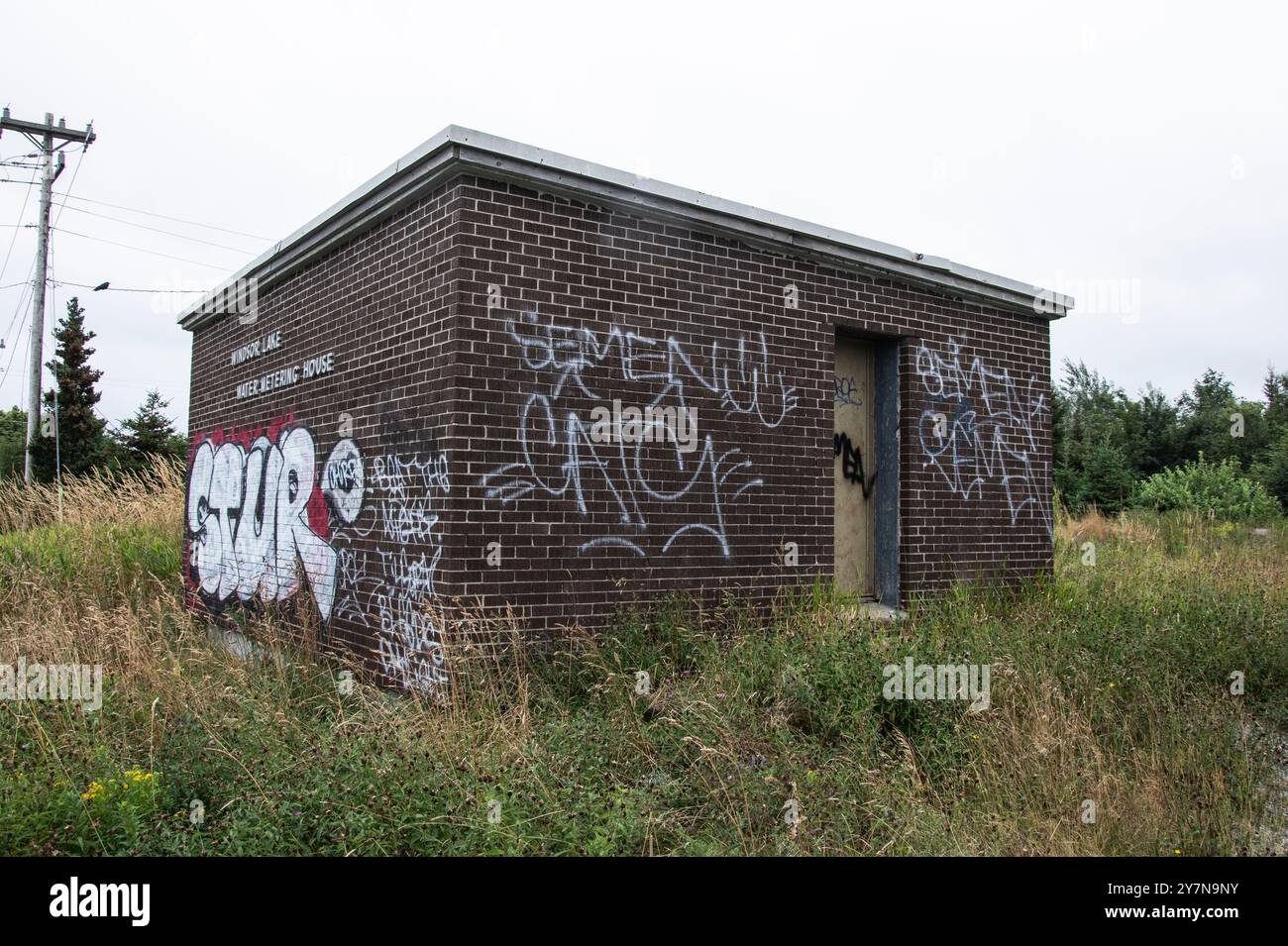Stur graffiti tagged on Windsor Lake Water Metering House in St. John's ...