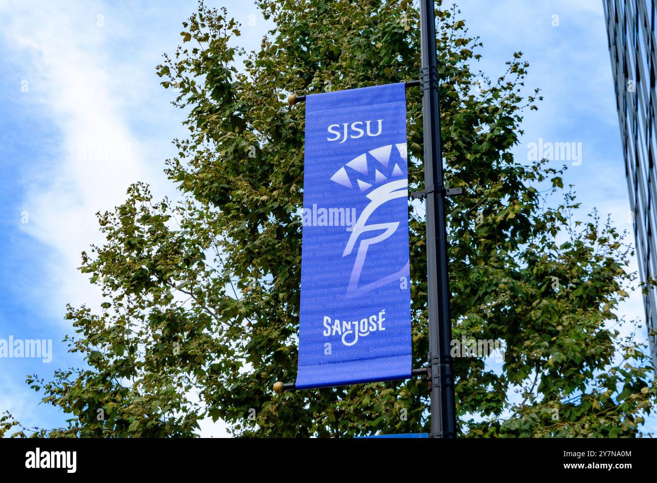 San Jose State University SJSU banner hangs from a streetlight - San ...