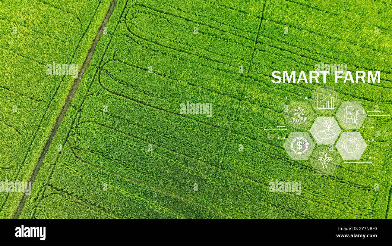 Smart farm advanced technology for enhanced productivity and quality in ...