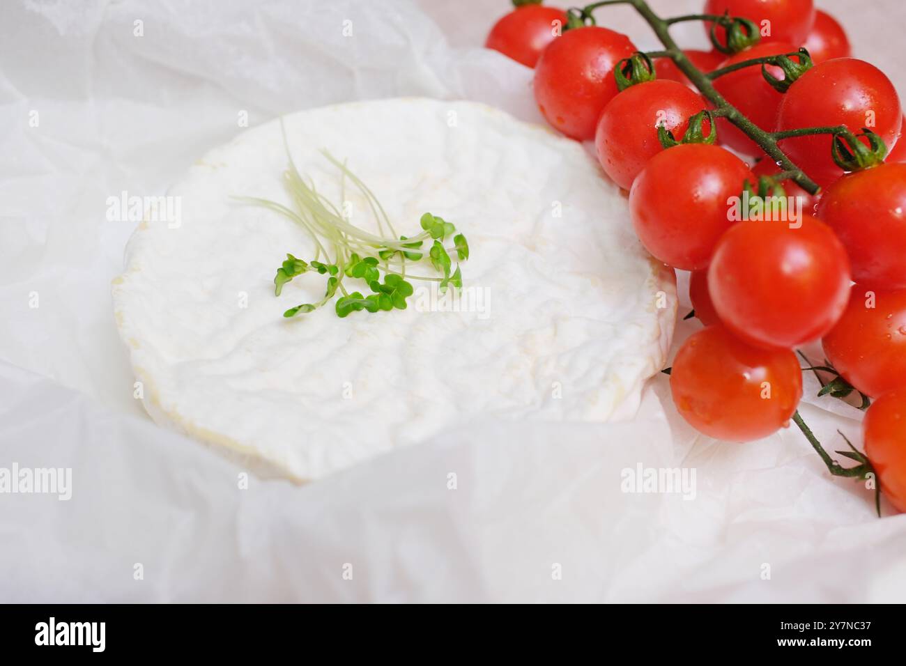 Cooking camembert with croutons in the oven. Add oil. Baked camembert ...