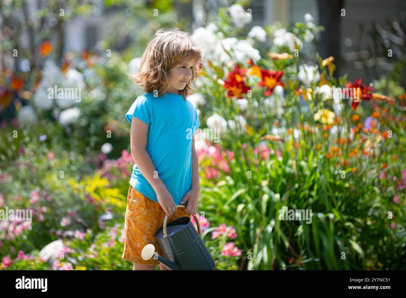 Child pouring water on the trees. Kid helps to care for the plants in ...