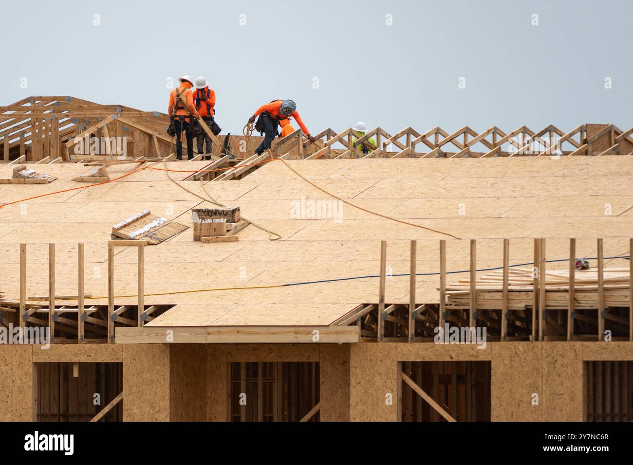 Preparing the roof deck for OSB installation. Cutting OSB sheets for ...
