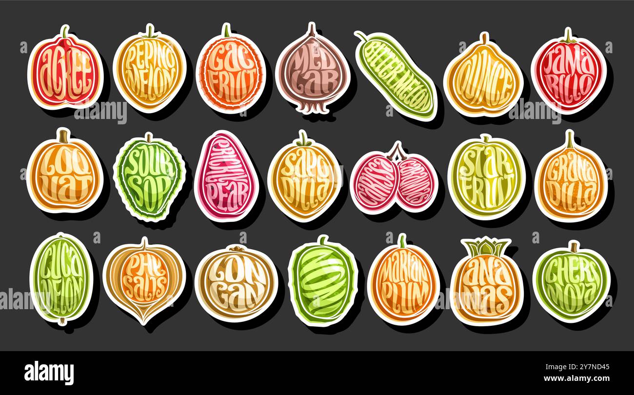 Vector Exotic Fruit Set, collection of cut out outline illustration ...