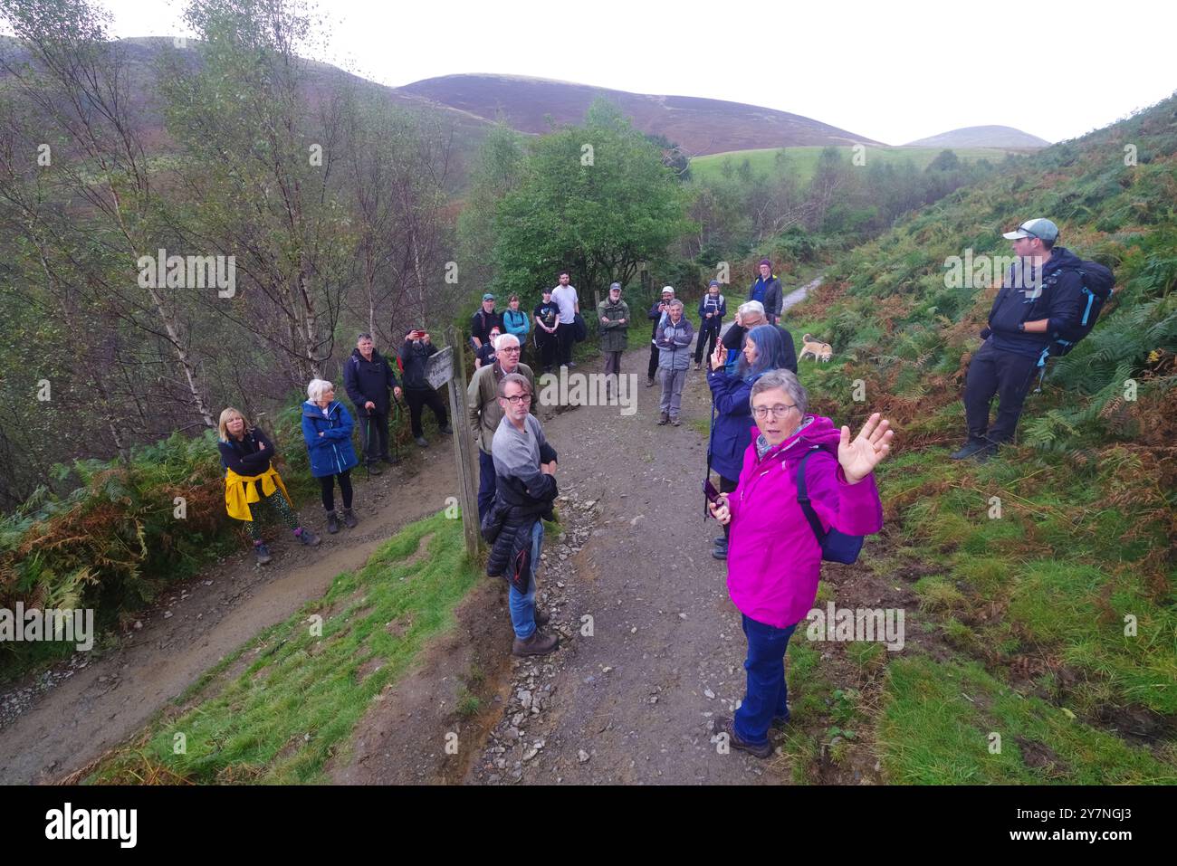 Sheila who hi-res stock photography and images - Alamy