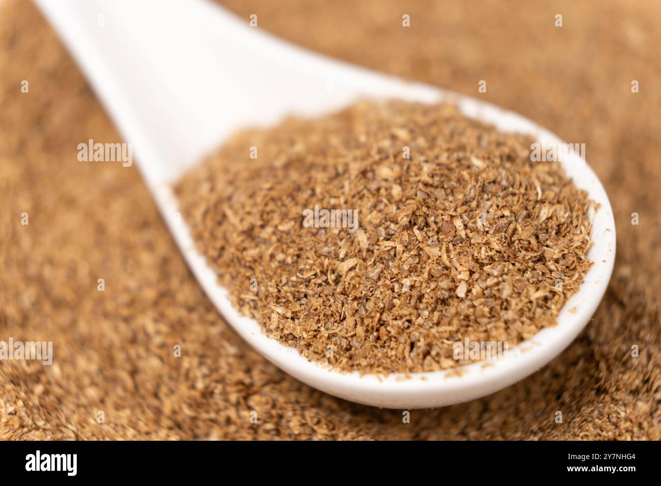 Fresh cilantro coriander grains hi-res stock photography and images - Alamy