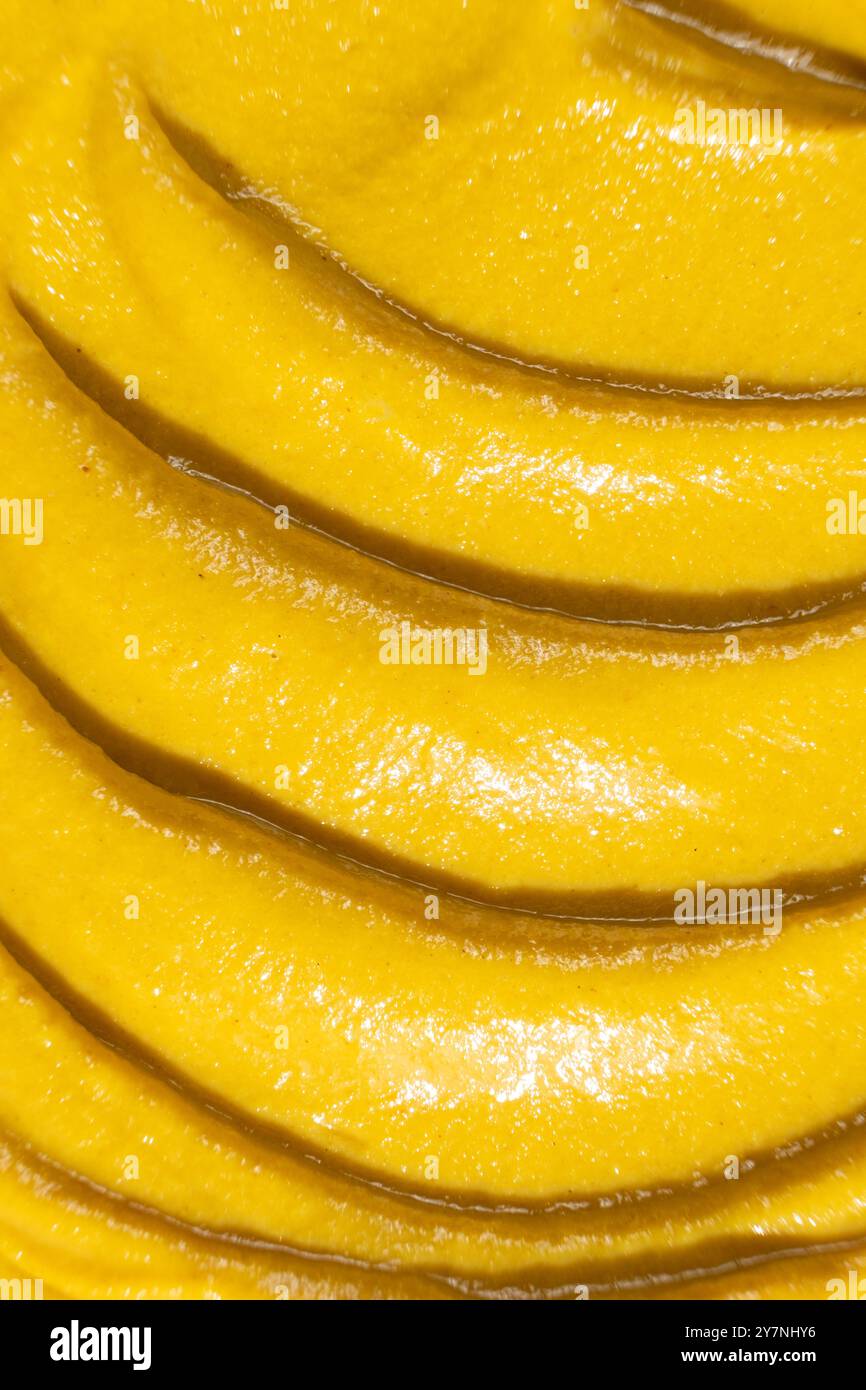 Macro Texture Mustard Sauce, Natural Traditional Spicy Mustard Sauce ...
