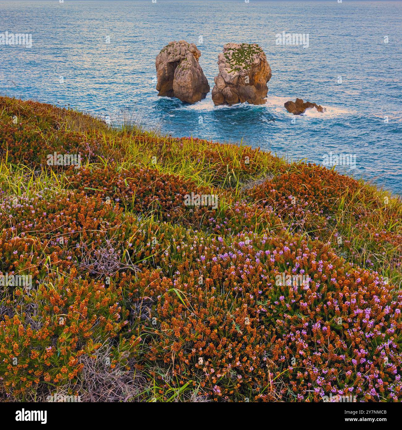 A square image from the rock formations of Urro del Manzano, part of a ...