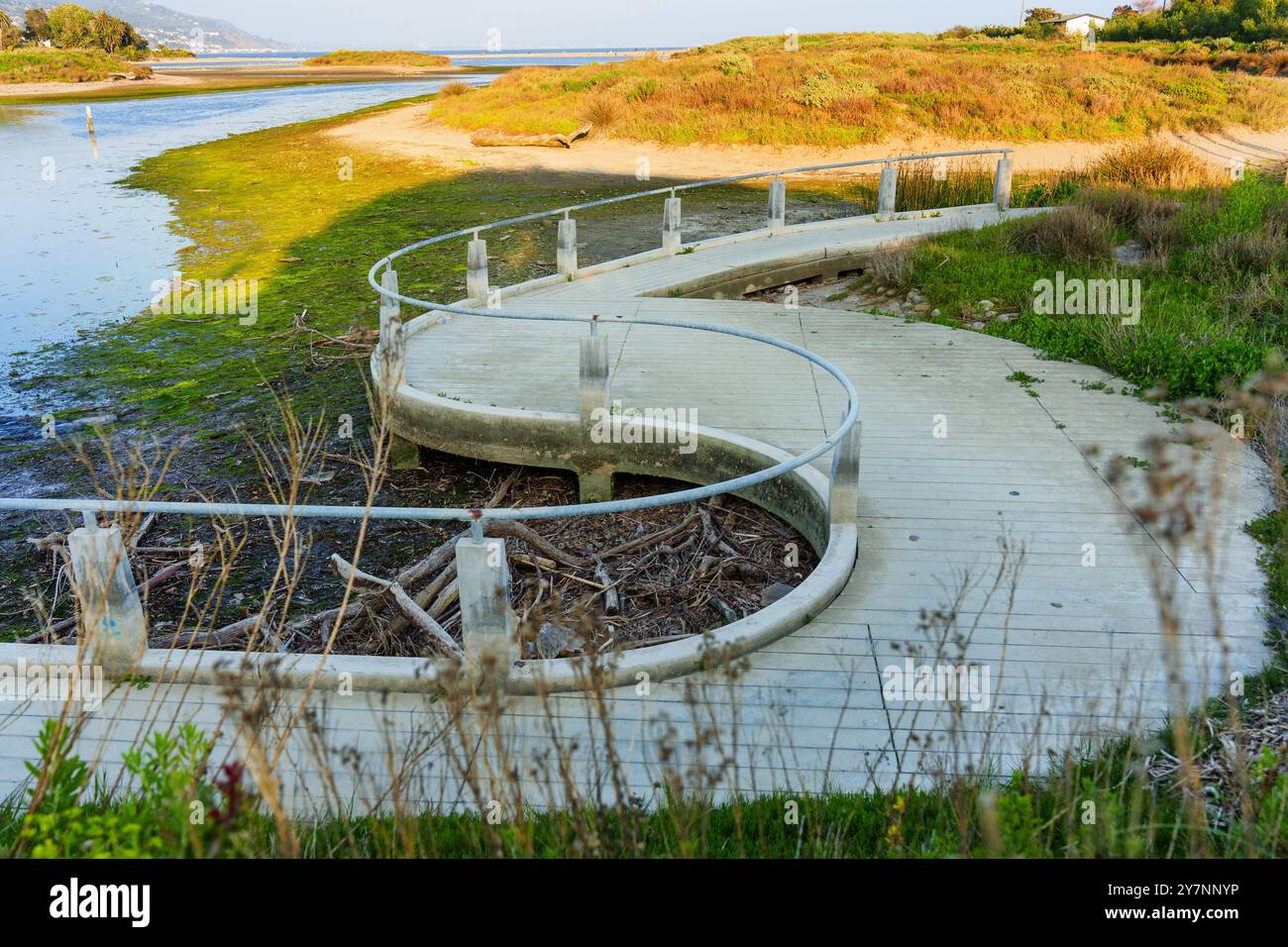Winding boardwalk surrounded by greenery and water at Malibu Lagoon in ...