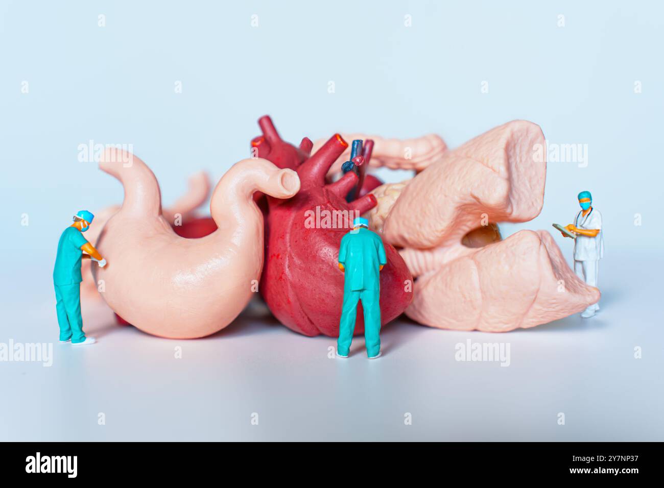 Miniature figures of surgeons attending to realistic human organ models ...