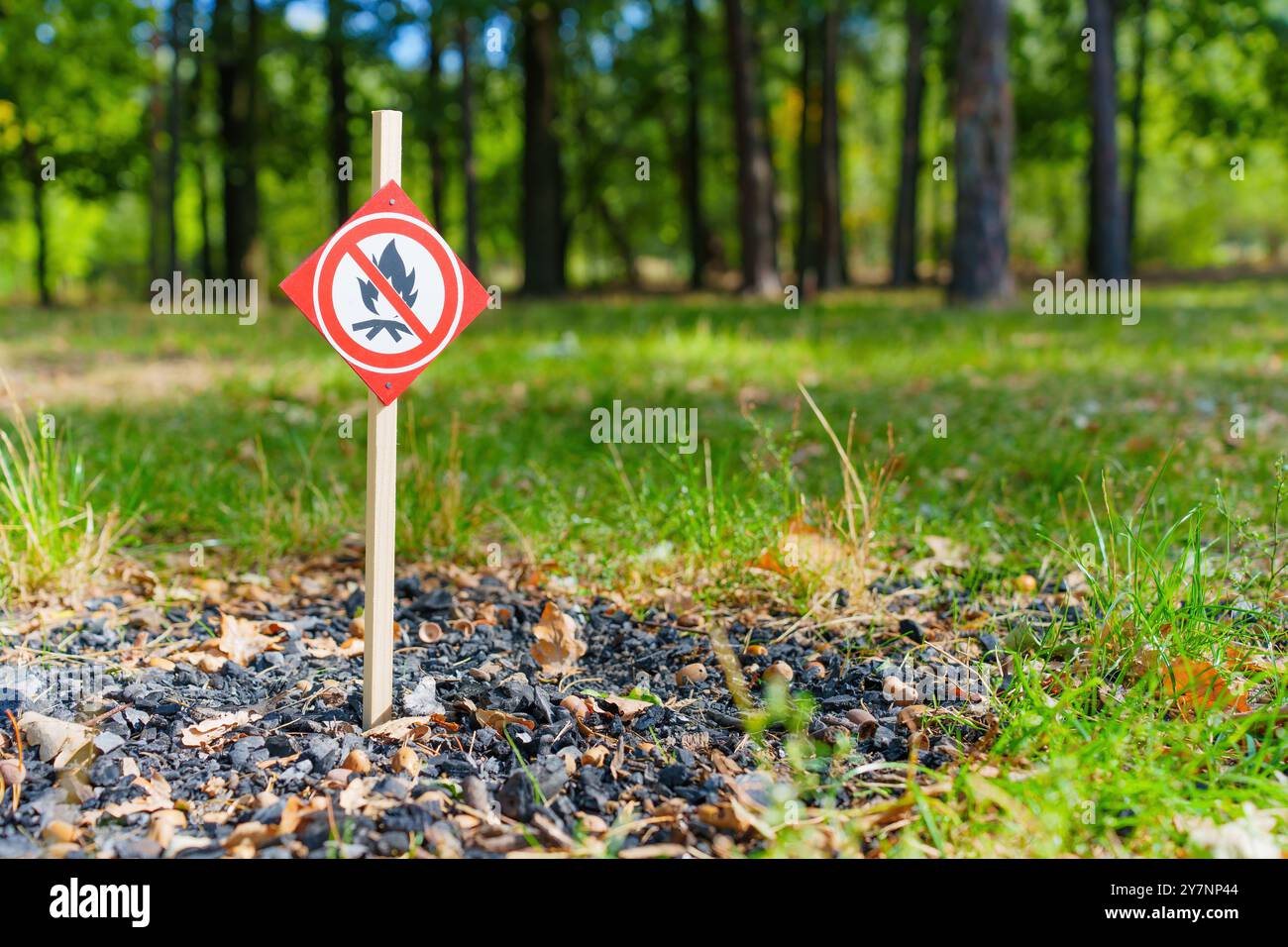 Warning sign indicating no fire allowed in grassy park area surrounded ...