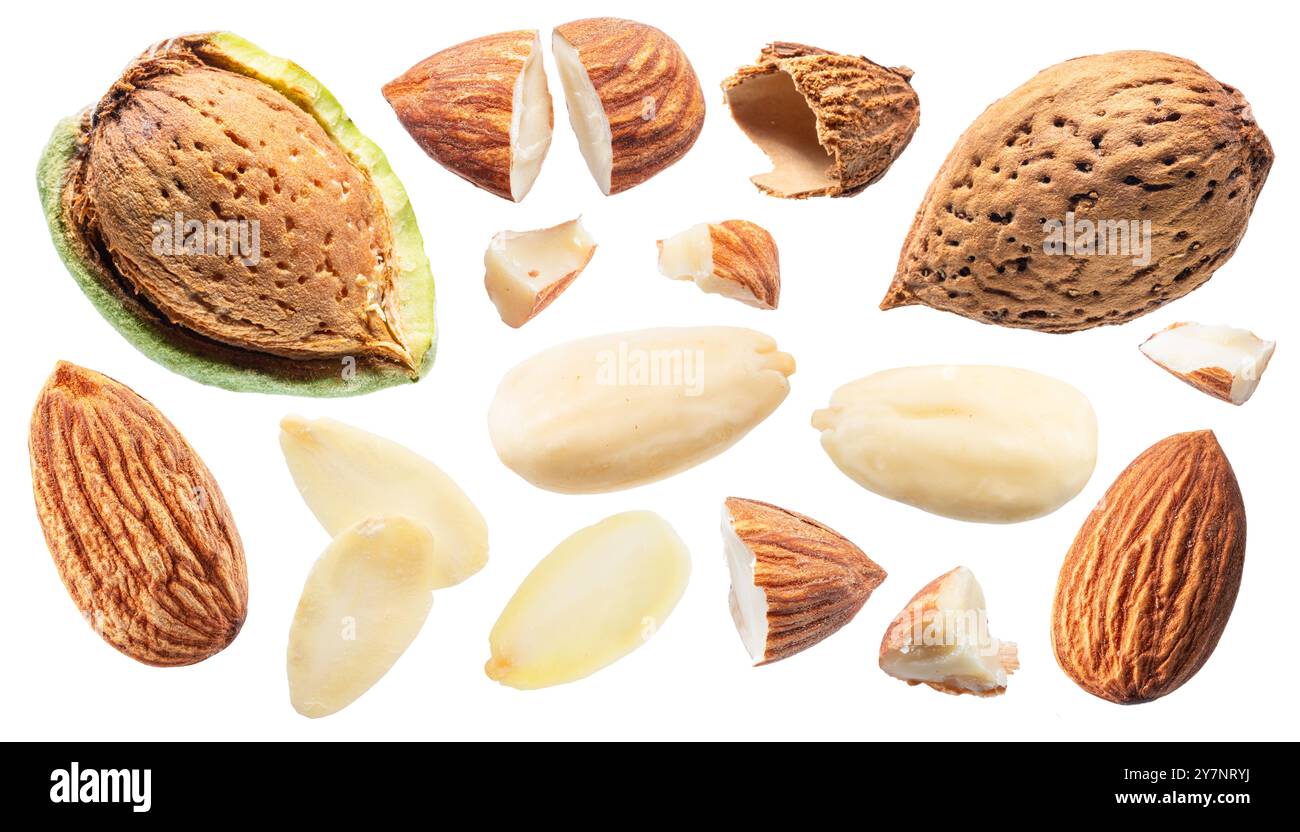Set of different almond nuts isolated on white background. File ...