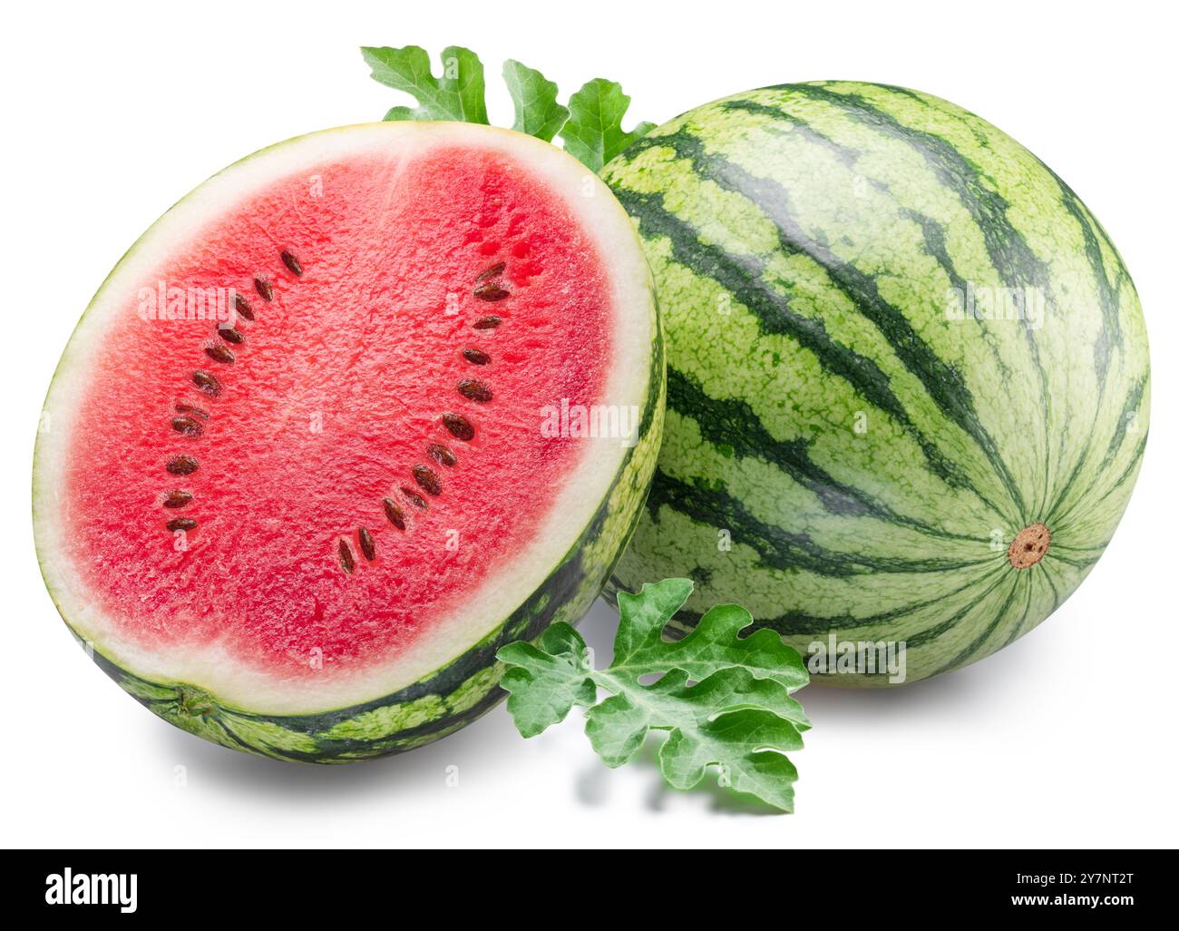 Round striped watermelon and watermelon half isolated on white ...