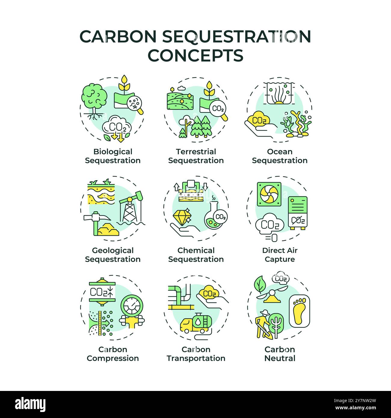 Carbon sequestration multi color concept icons Stock Vector Image & Art ...