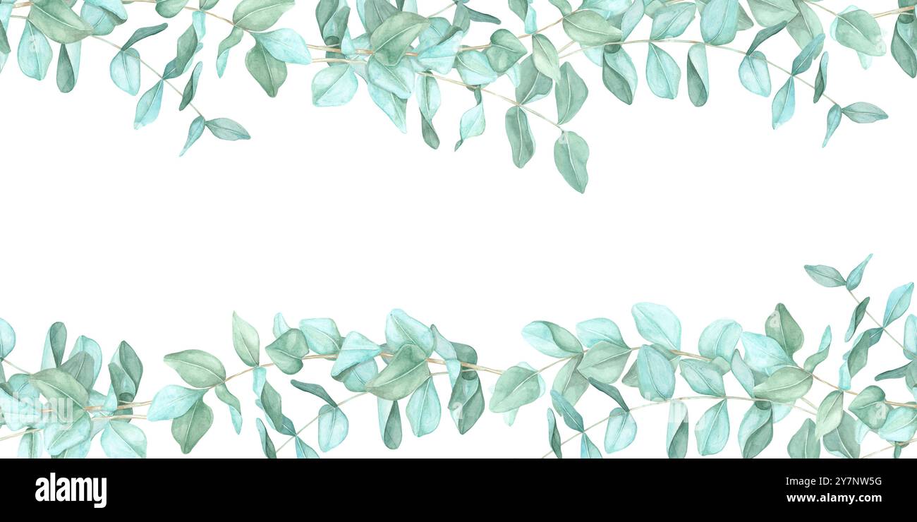 Green eucalyptus leaves arranged in a horizontal border across the top ...
