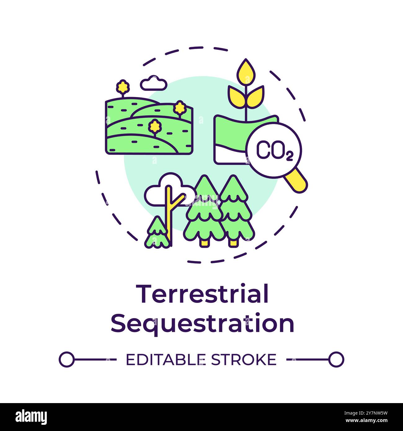 Terrestrial sequestration multi color concept icon Stock Vector Image ...