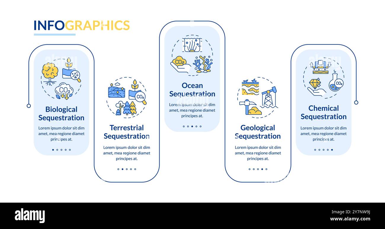 Carbon sequestration different types rectangle infographic vector Stock ...