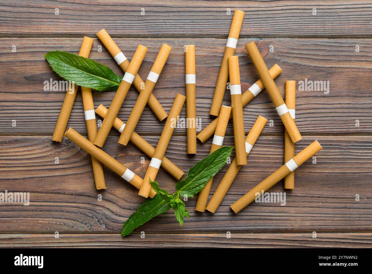Menthol cigarettes and fresh mint leaves on colored background, Many ...