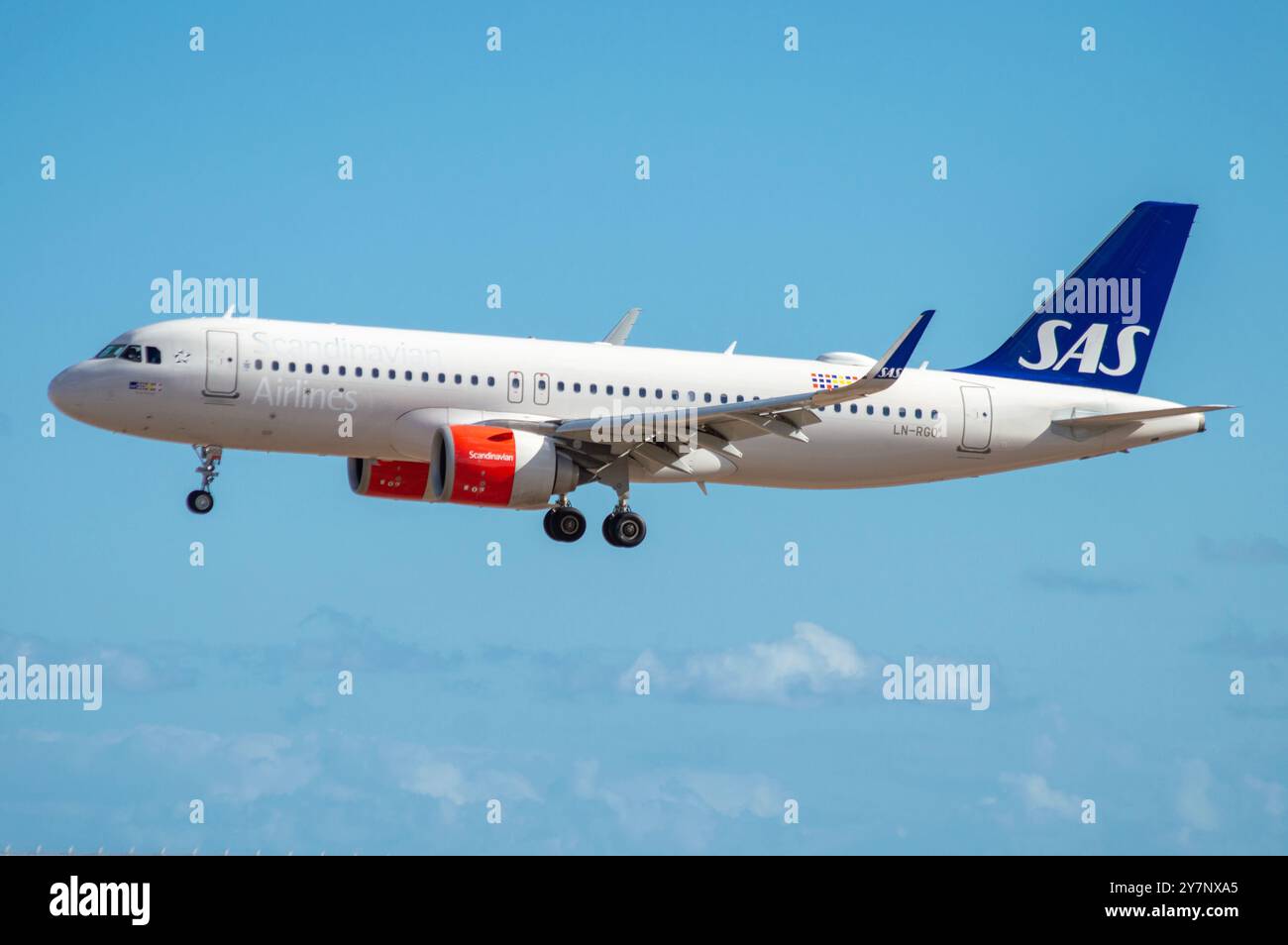 Airbus A320 Neo airliner of the SAS Scandinavian airline landing at ...