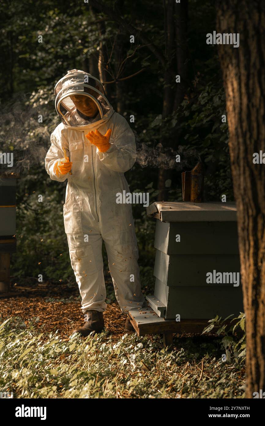 Bee keeper working with honey bees, man made bee hive Stock Photo - Alamy