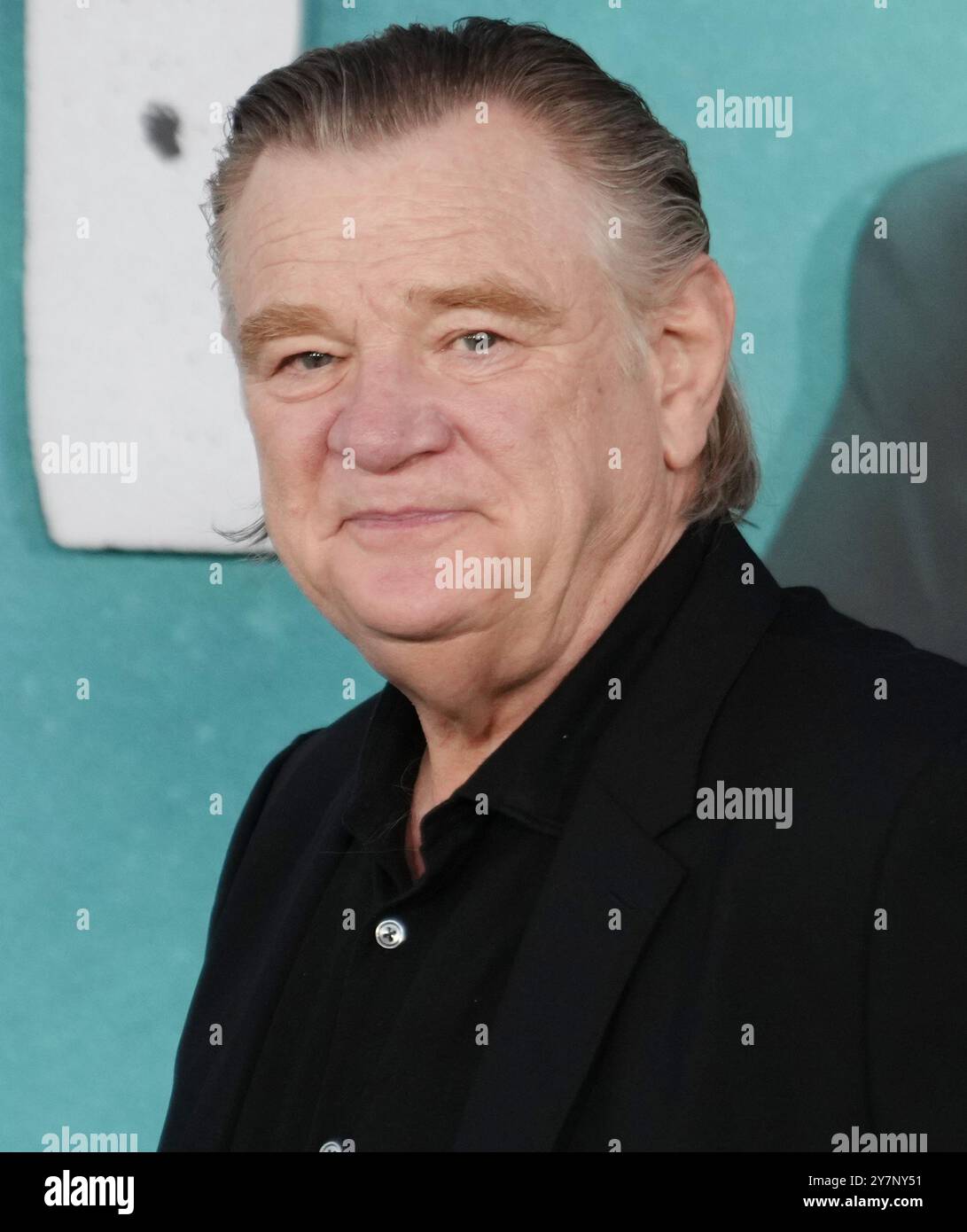 Brendan Gleeson arrives at the Warner Bros. Pictures' JOKER: FOLIE À ...