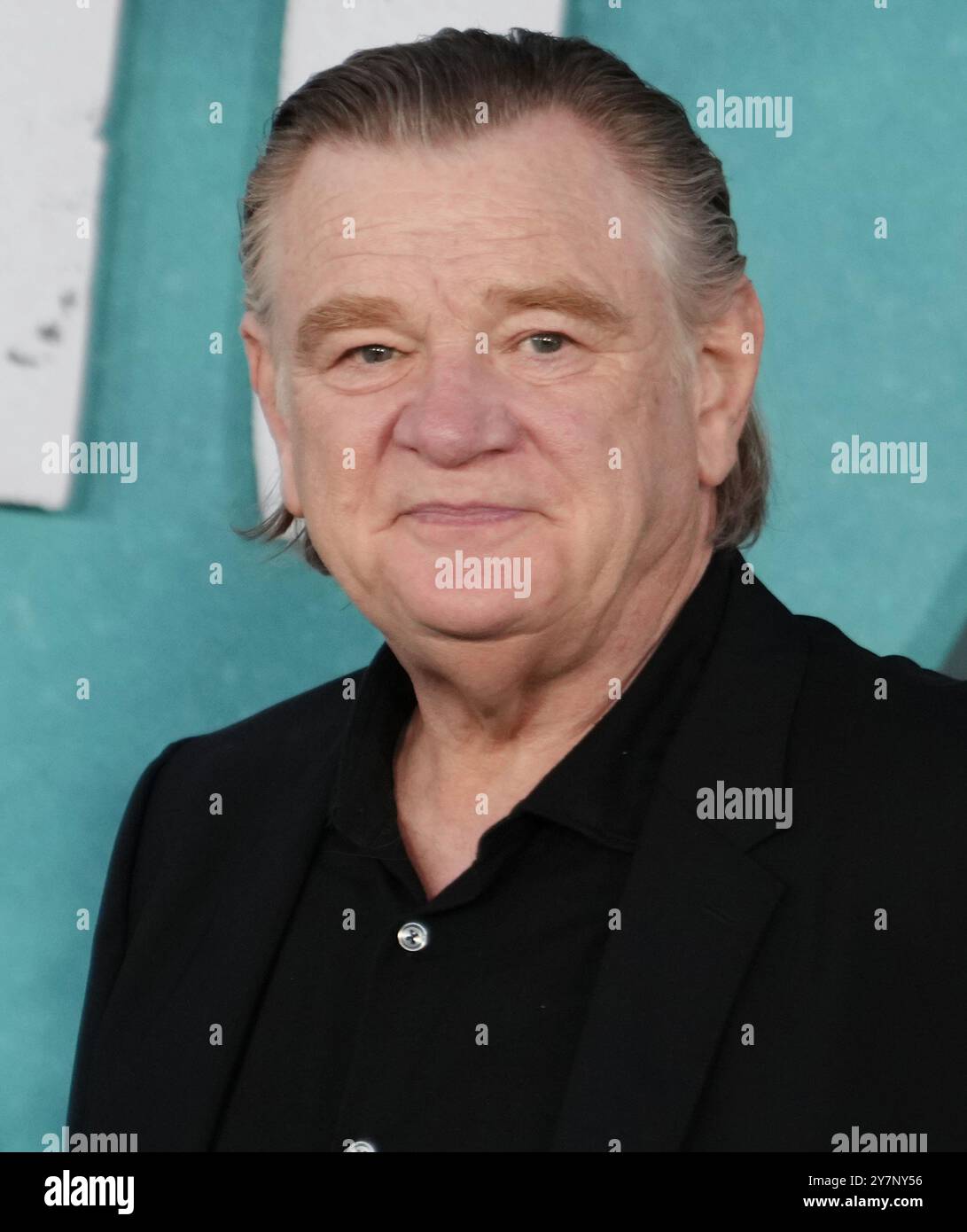 Brendan Gleeson arrives at the Warner Bros. Pictures' JOKER: FOLIE À ...