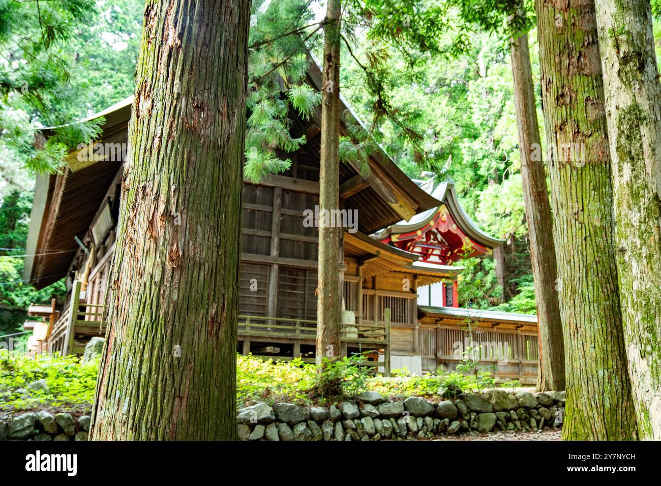 Kawaguchi Asama Shrine in Fujikawaguchiko, Minamitsuru District ...
