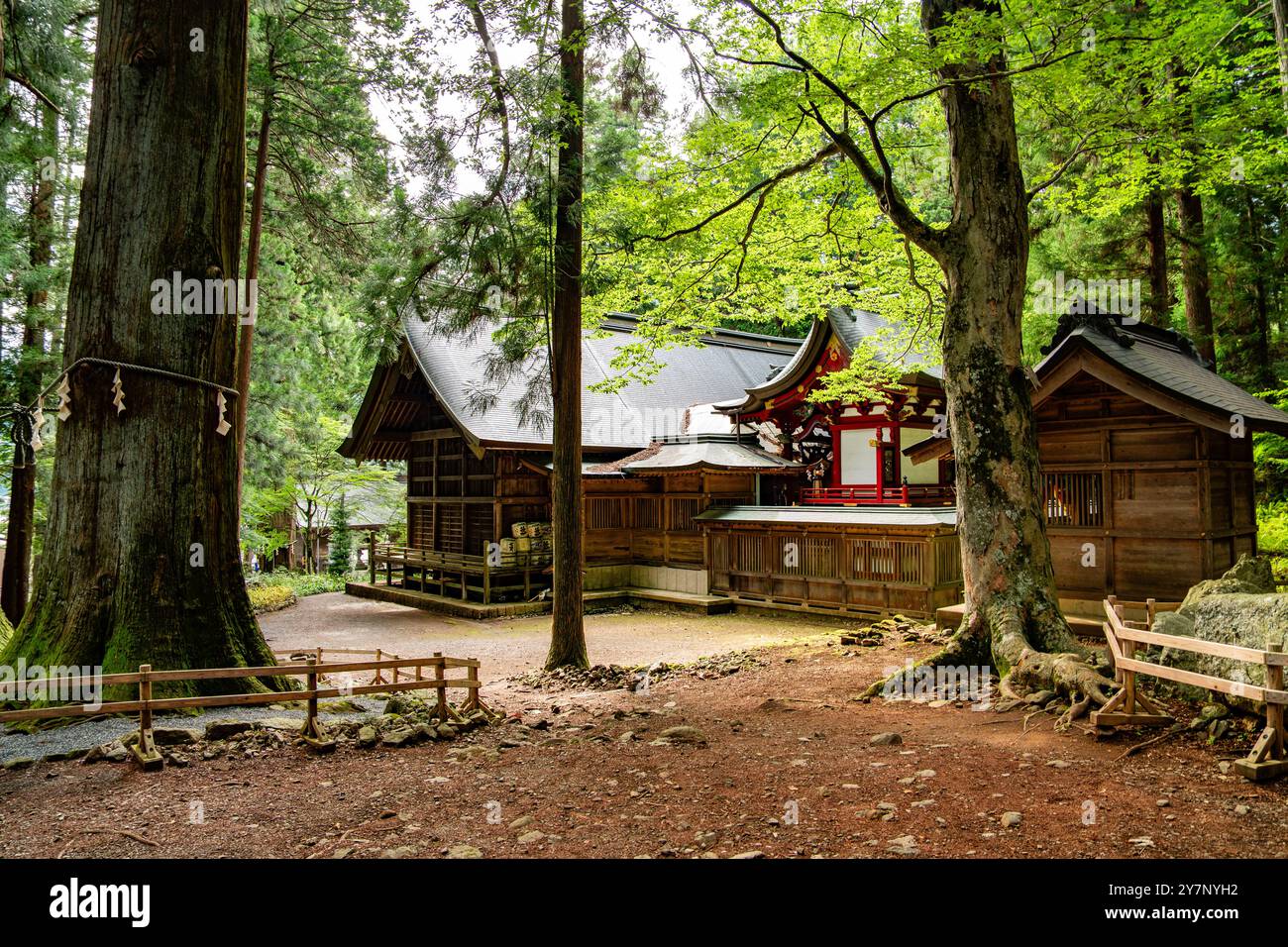 Kawaguchi Asama Shrine in Fujikawaguchiko, Minamitsuru District ...