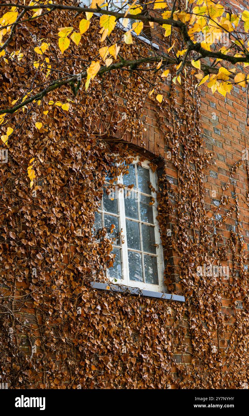 Medieval house covered autumn hi-res stock photography and images - Alamy