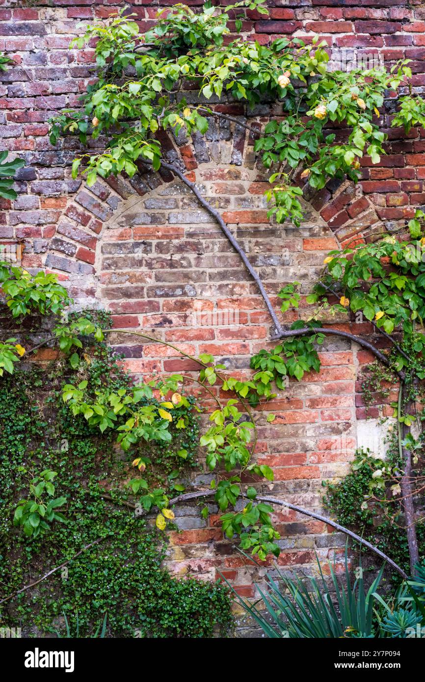Wall arch archway hi-res stock photography and images - Alamy