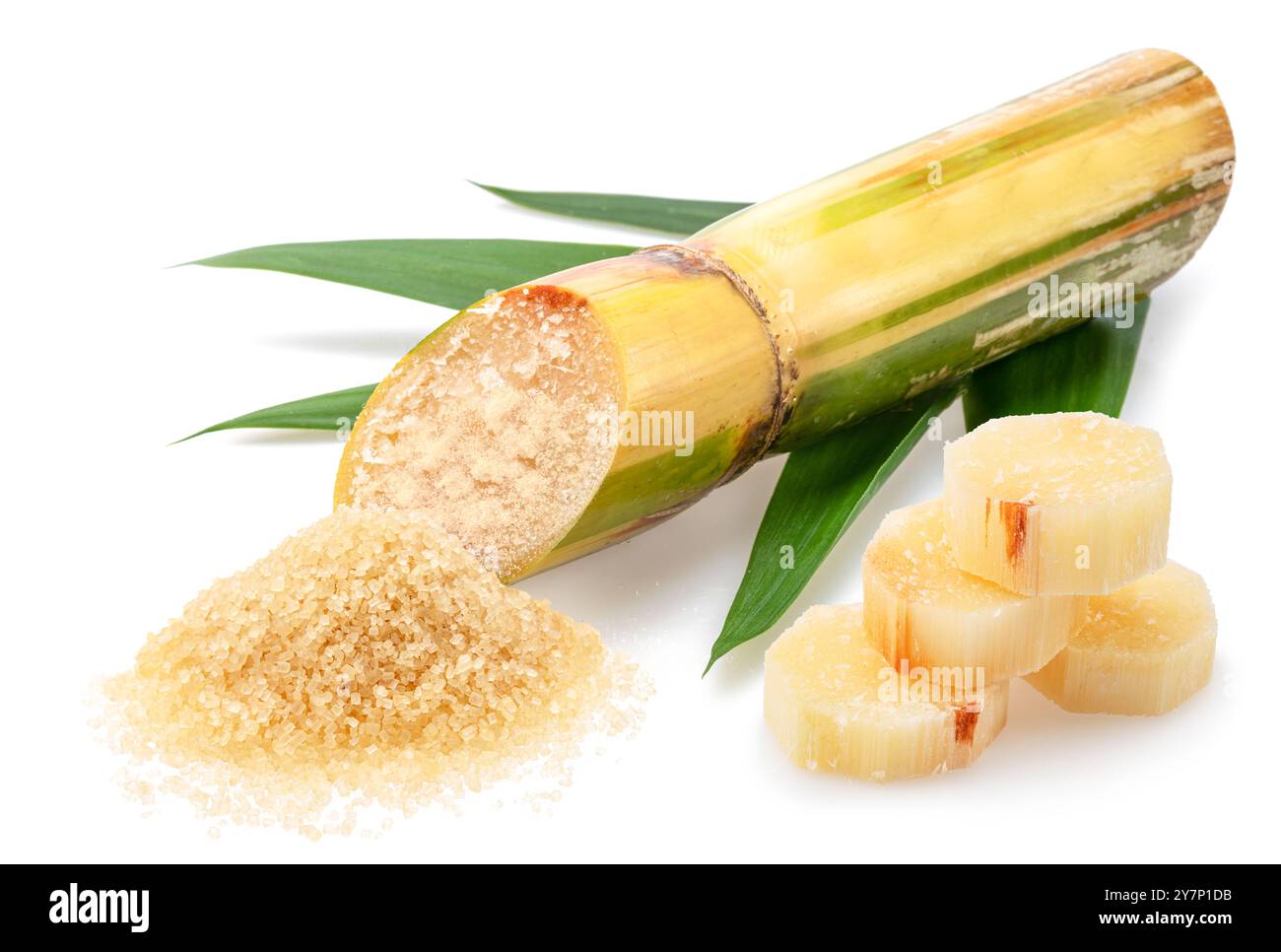 Sugarcane stalk with leaves and pile of cane sugar isolated on white ...