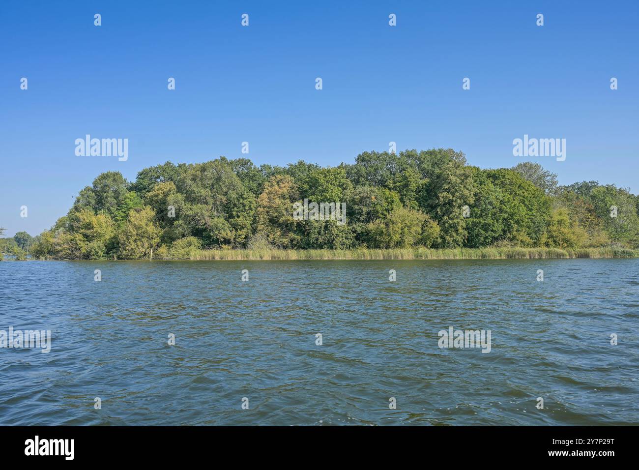 Baumwerder Island, Tegel Lake, Tegel, Reinickendorf, Berlin, Germany, Insel Baumwerder, Tegeler ...