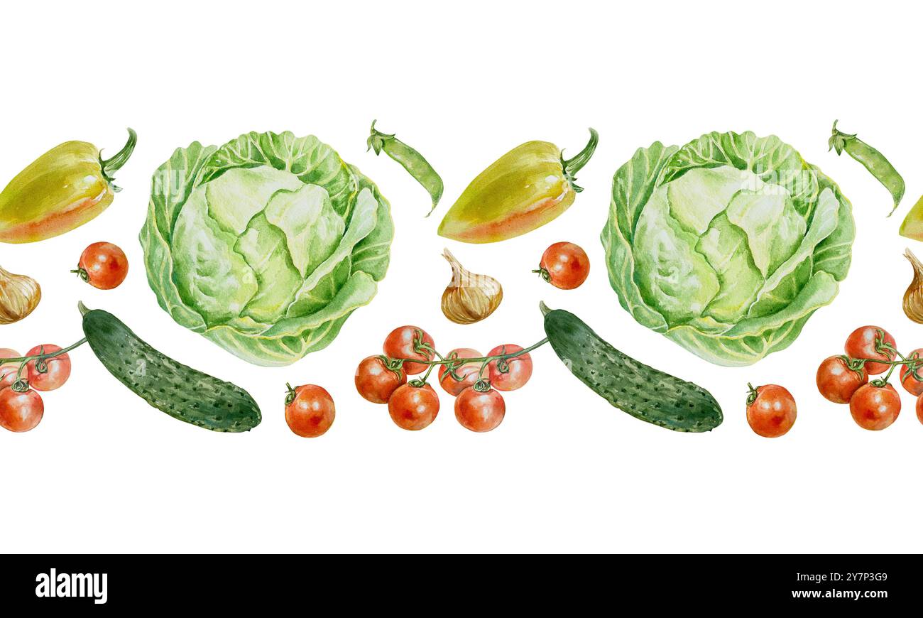 Vegetables seamless border, horizontal. Cabbage, cucumbers, tomatoes ...