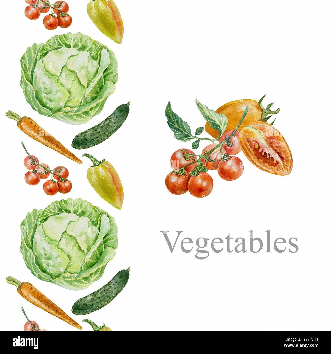 Vegetables seamless border, vertical. Cabbage, carrot, cucumber, tomato ...